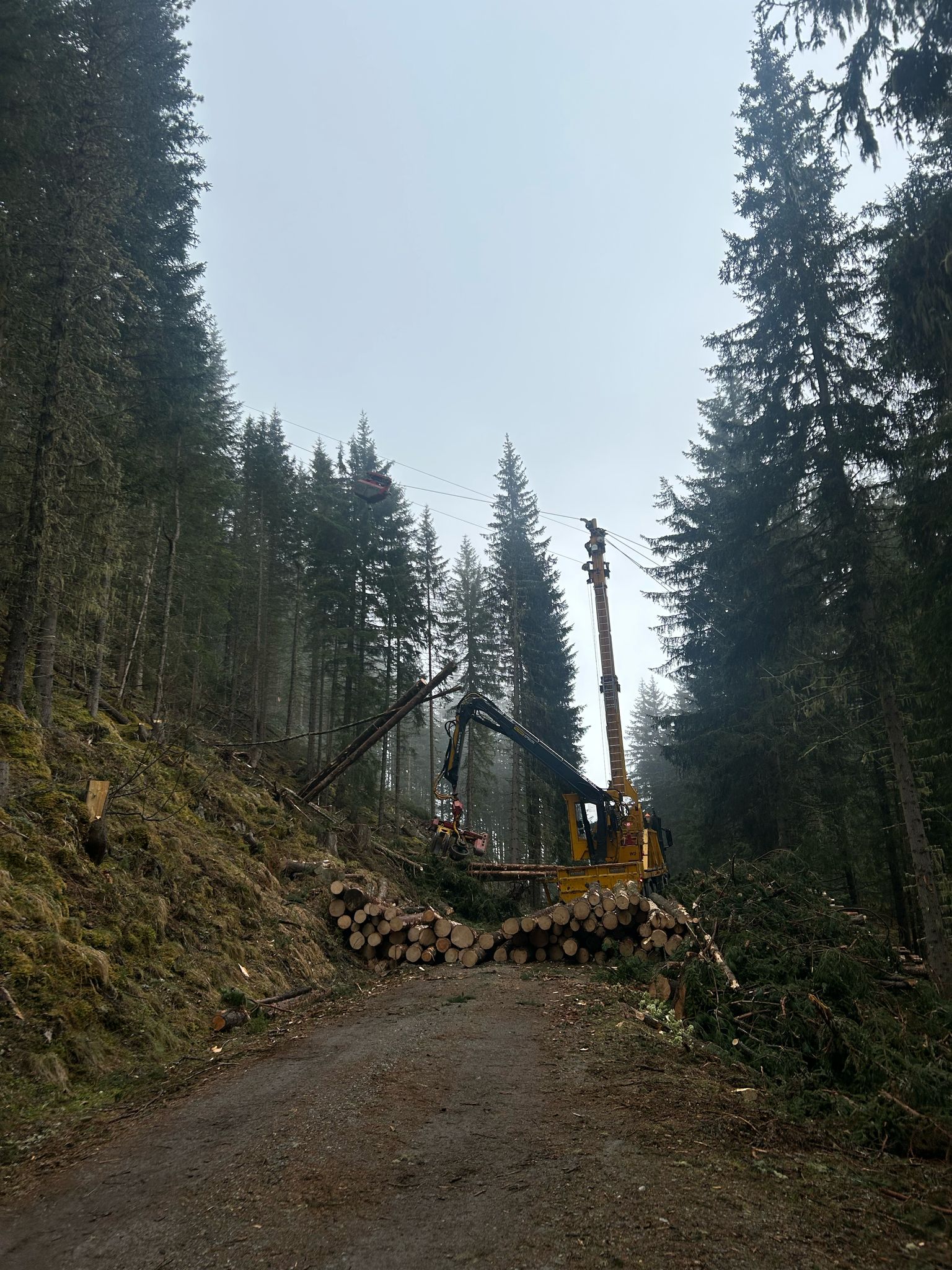 Gebirgsharvester Koller K507 - Konrad Forsttechnik