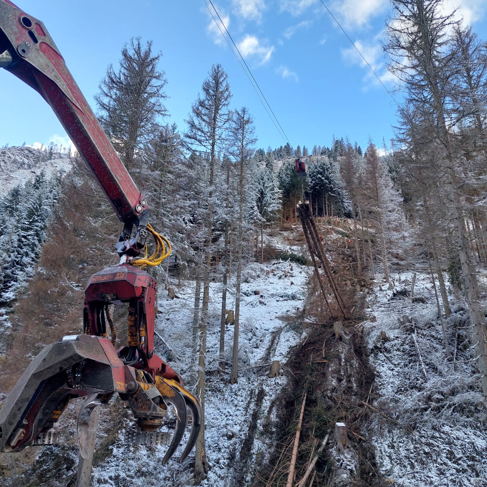 MOUNTY 4000U mit WH6 und LIFTLINER - Konrad Forsttechnik