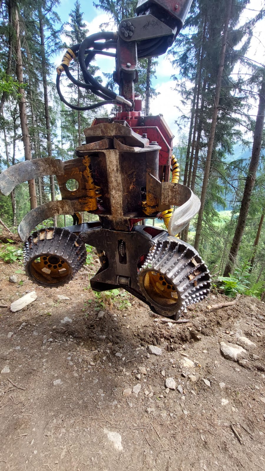 Mounty 3000 mit Woody WH 5 - Konrad Forsttechnik